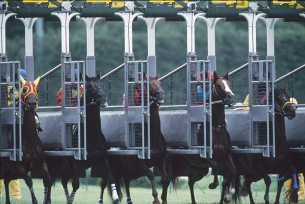 係員の「絶叫タイムスタート！」のかけ声と共に、やばい雰囲気に変形したメリーゴーランド - JRA_30へのボケ[36747806] - ボケて（bokete）