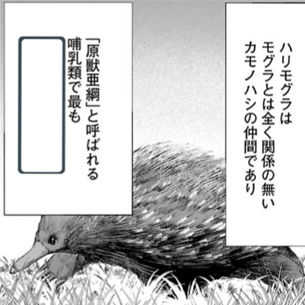 BAKKYA